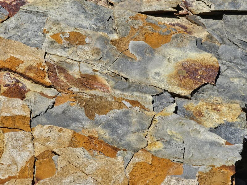 Painted Relief 4 stock photo. Image of tree, bedrock - 353843086