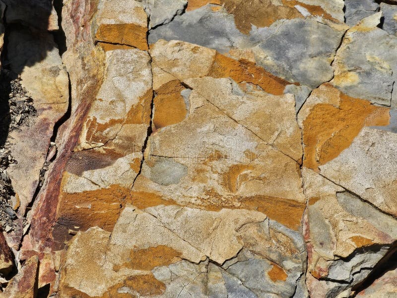 Painted Relief 2 stock image. Image of trunk, tree, flooring - 353843097