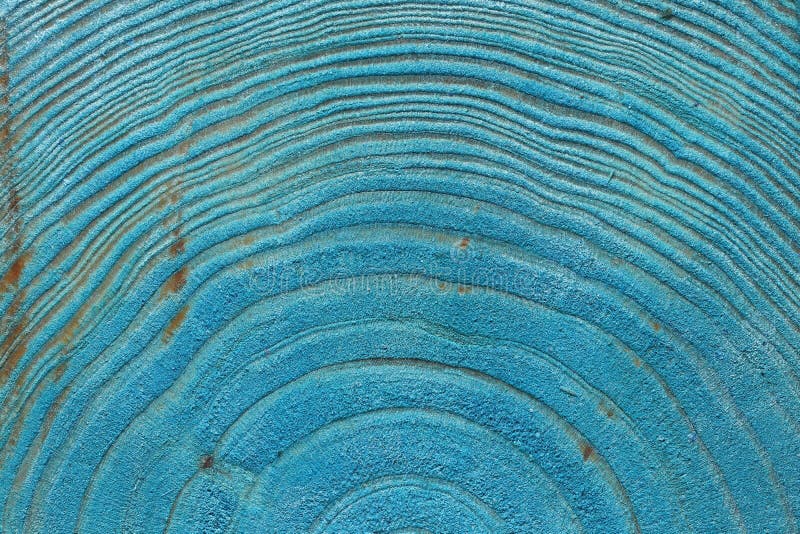 Painted tree. stock image. Image of grain, hardwood - 237139581