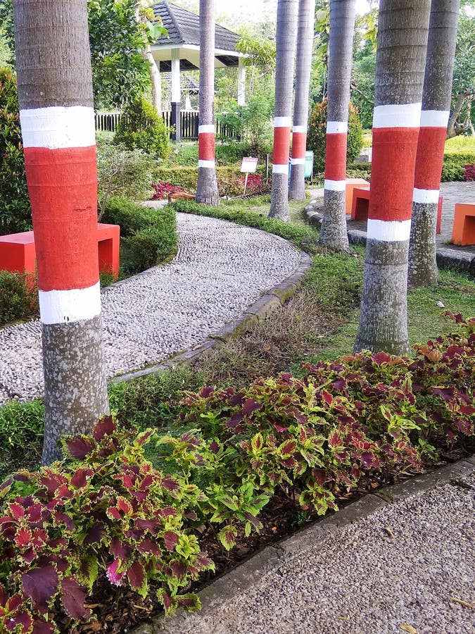 A painted tree trunk stock photo. Image of plant, walkway - 200258576