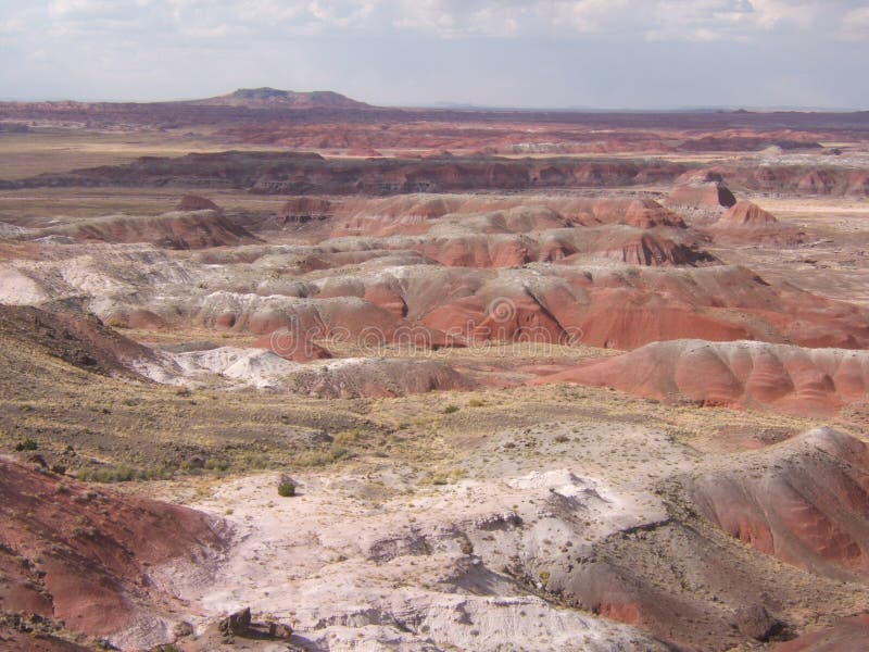 Painted Valley stock image. Image of pair, forest, indian - 10180707