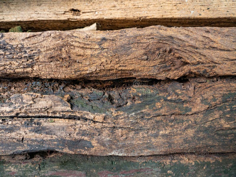 Painted Wood Has Decay Color Brown,Texture on Background,Material is ...