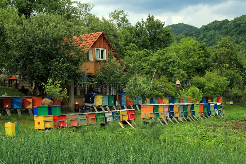 Painted wooden beehives stock image. Image of natural - 41557807