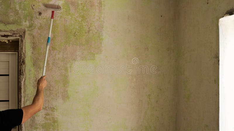 Priming the Wall Near the Ceiling with a Roller on a Long Handle Stock ...