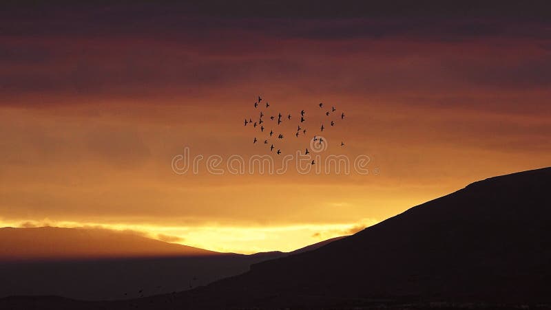 A Painting of a Great Astist Stock Image - Image of clouds, color: 65871945
