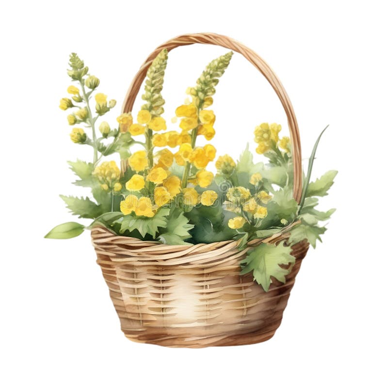 A Painting of the Yellow Rattle Plant. Ai-Generated. Stock Illustration ...