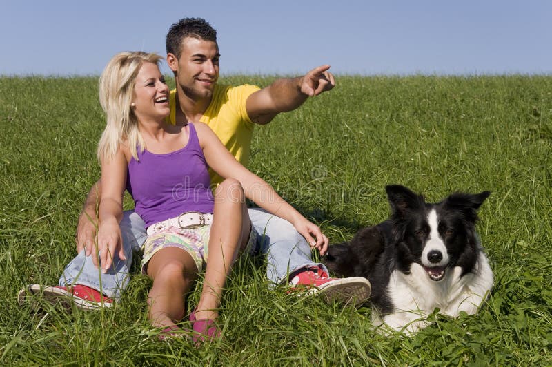 Pair stock photo. Image of bodercollie, friendship, pair - 11085016