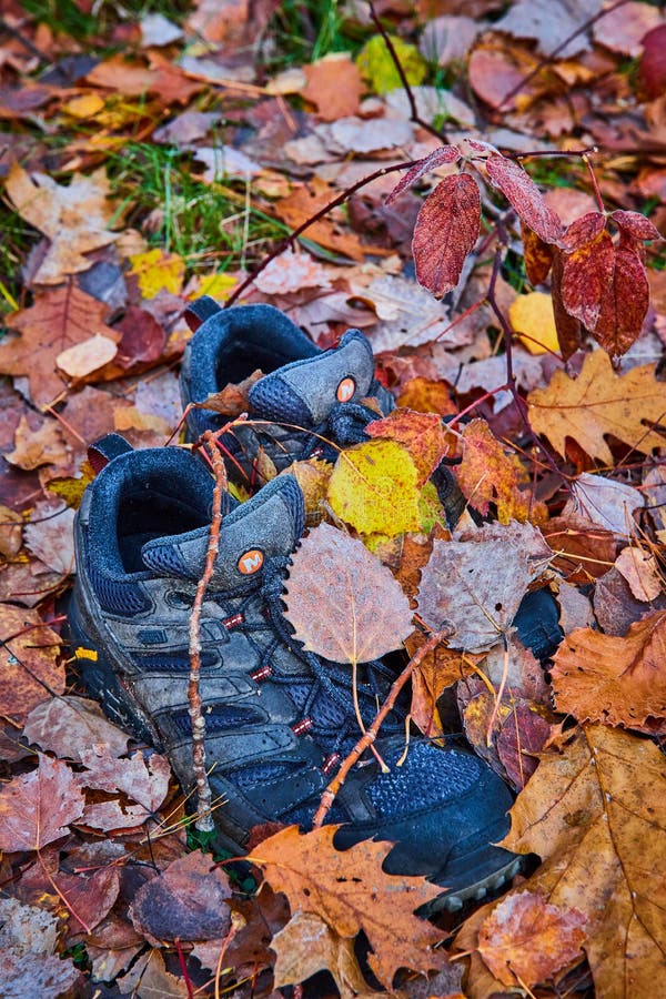 Pair of Abandoned Black Shoes Covered in Fall Leaves by Trail Stock ...