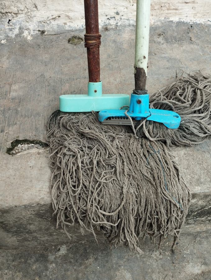 A Pair of Abandoned Old Mops Stock Photo - Image of mops, house: 255150504