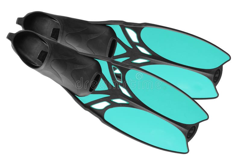 Blue Fins and Coral Reef Underwater, Top View Photo. Diver Standing in ...