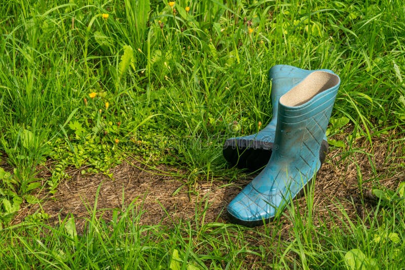A Pair of Blue Rubber Boots in the Green Grass Stock Photo - Image of ...