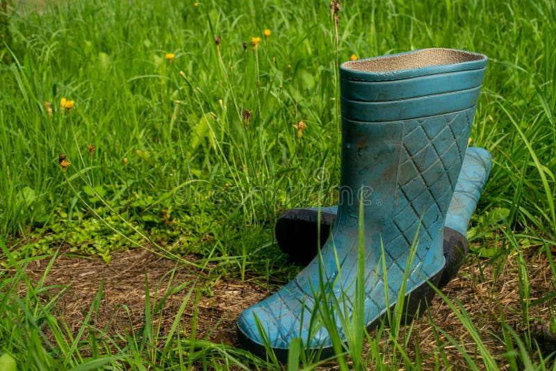 A Pair of Blue Rubber Boots in the Green Grass Stock Image - Image of ...