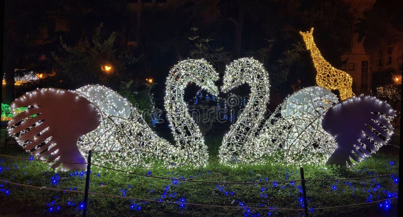 Pair of bright swans stock image. Image of lights, craft - 168592873