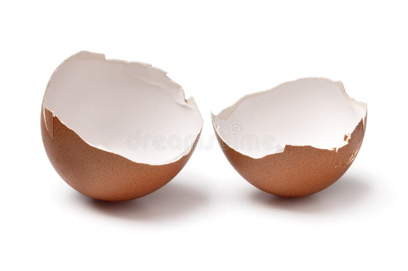 Pair of Brown Empty Egg Shells Close Up on White Background Stock Photo ...
