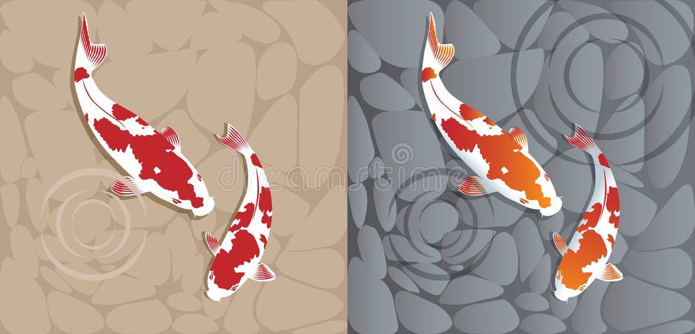 A pair of coi fish stock illustration. Illustration of monochrome ...