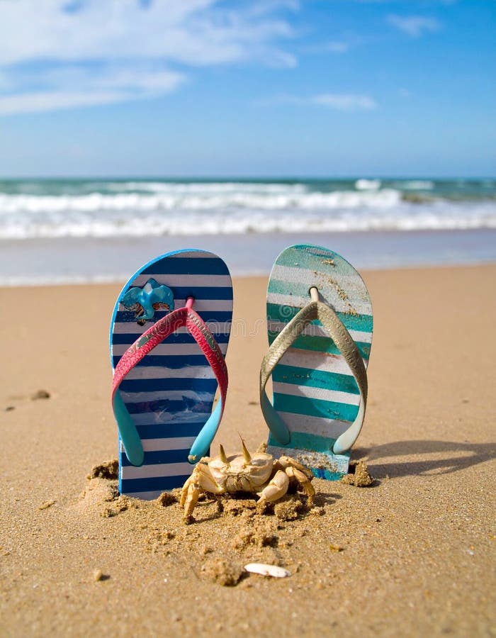 Cute Slipper Sticking Out of the Sand Stock Illustration - Illustration ...