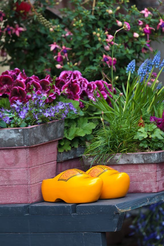 Pair of Dutch Yellow Clogs and Garden Plants Stock Image - Image of ...