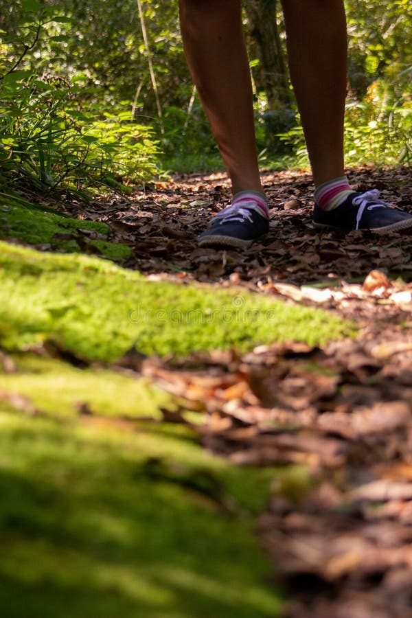 Pair of Feet in Forest Path Stock Photo - Image of colorful, laces ...