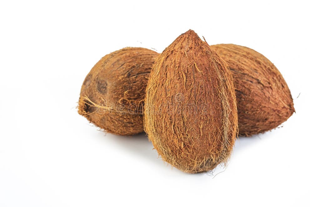 Pair of Fresh Coconuts Placed Together Isolated Over Pure White ...