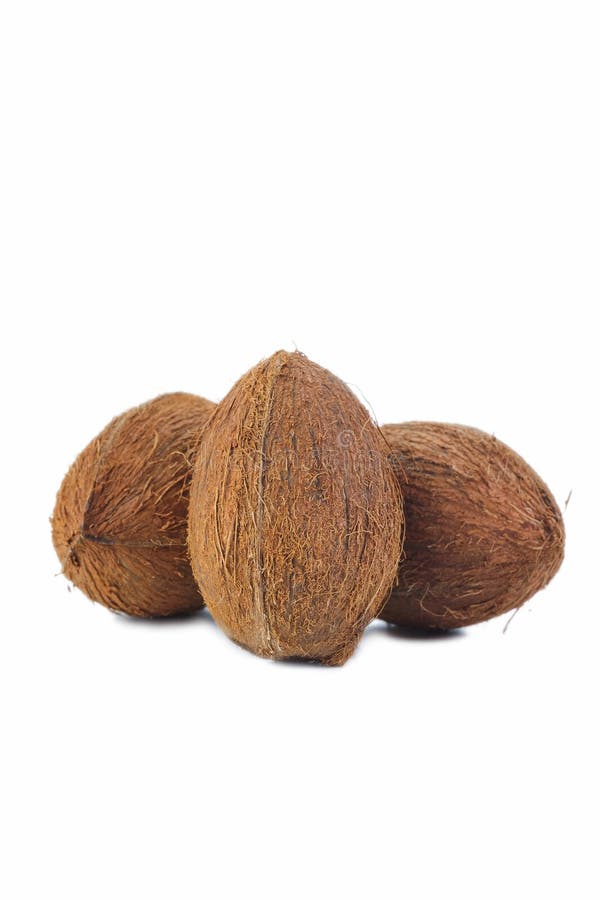 Pair of Fresh Coconuts Placed Together Isolated Over Pure White ...