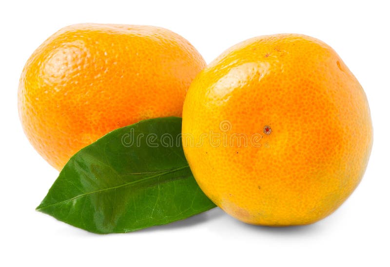 Pair of Fresh Mandarin Oranges Stock Photo - Image of delicious, sweet ...