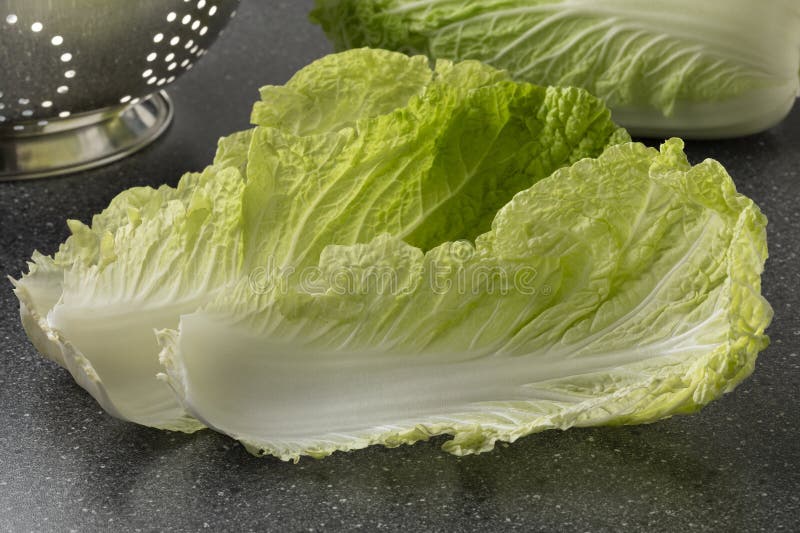 Pair of Fresh Raw Chinese Cabbage Leaves Close Up Stock Photo - Image ...