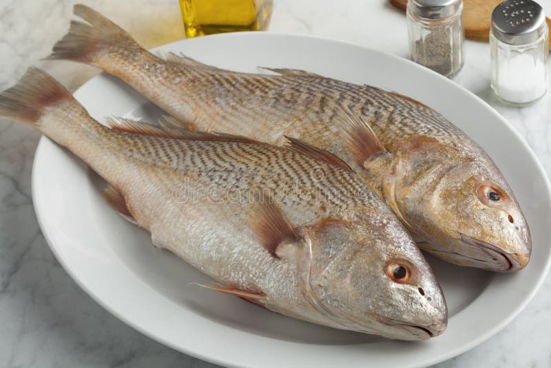 Fresh ray fish stock image. Image of seafood, batoidea - 22326337