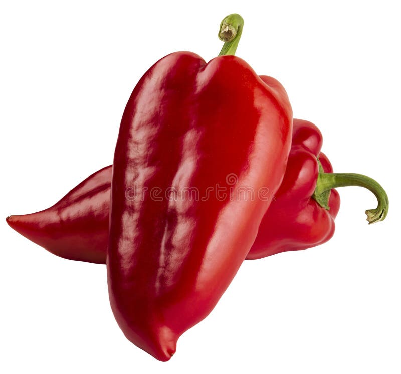 Pair of Fresh Red Peppers Isolated on White Stock Image - Image of cook ...