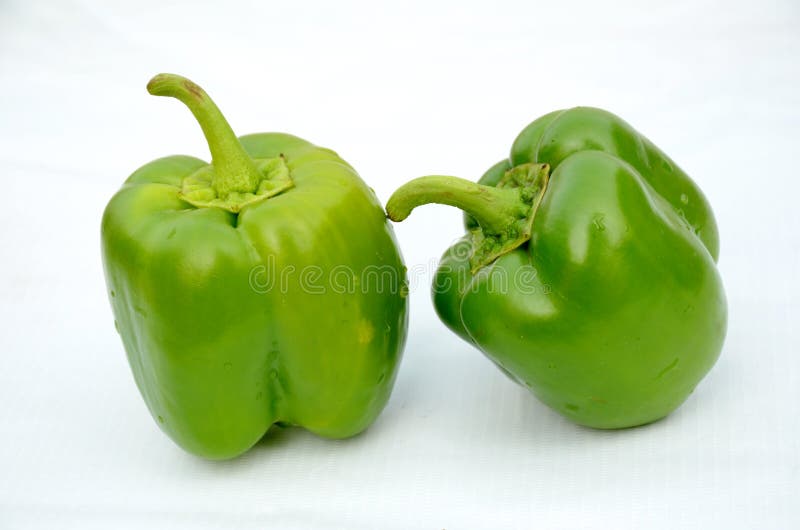 The Pair Green Colour Ripe Capsicum Isolated in White Background Stock ...