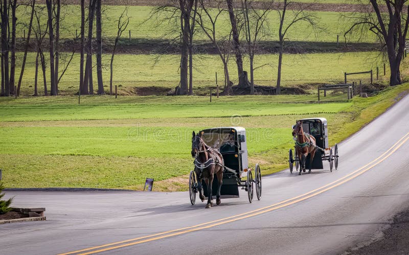 Pair of Horse-drawn Carriages Traversing a Winding Road Editorial ...