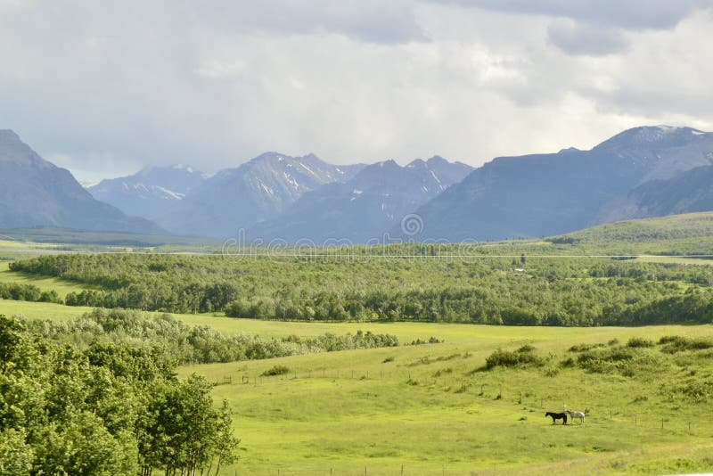 121 Plain Rocky Grassland Background Stock Photos - Free & Royalty-Free ...