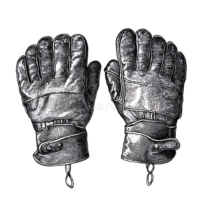 Pair of Leather Gloves, Hand-drawn Illustration Stock Illustration ...