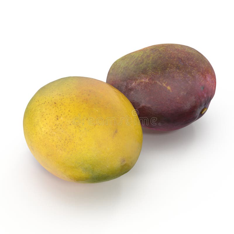 Pair of Mangoes Isolated on White Background 3D Illustration Stock ...