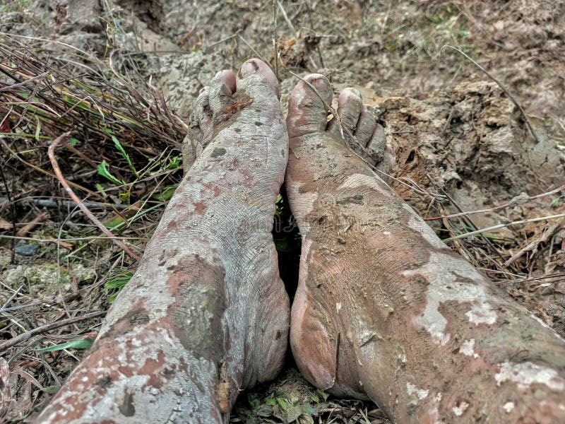A pair of muddy feet. stock photo. Image of foot, natural - 335609602