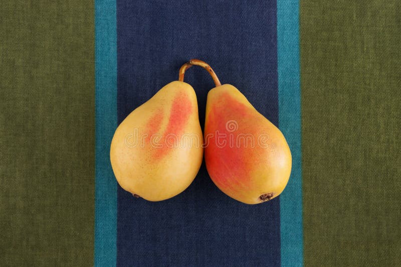 Pair of pears. Still life. stock image. Image of decorative - 61484929