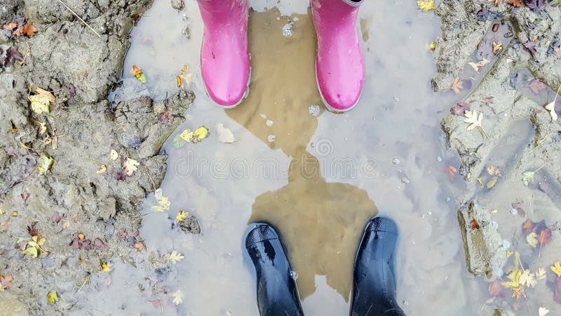 Two Pairs of Wellingtons Boots Stock Image - Image of yellow, dish ...