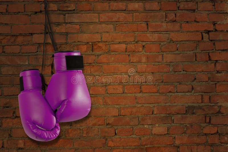 Pair of Purple Boxing Gloves Stock Image - Image of equipment, knockout ...