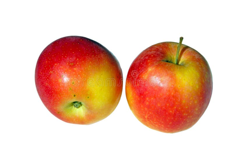 A pair of red apples stock image. Image of male, close - 21455411