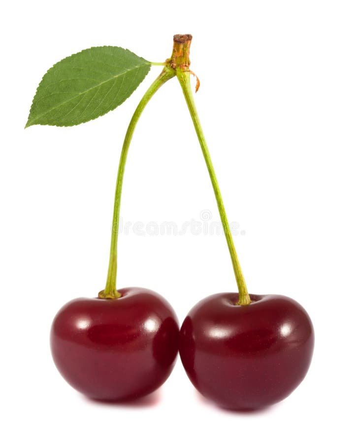 Cherries couple stock image. Image of isolated, couple - 25642913