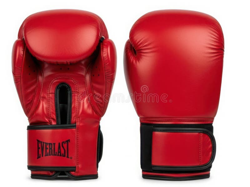 Everlast Boxing Gloves Stock Illustrations – 4 Everlast Boxing Gloves ...