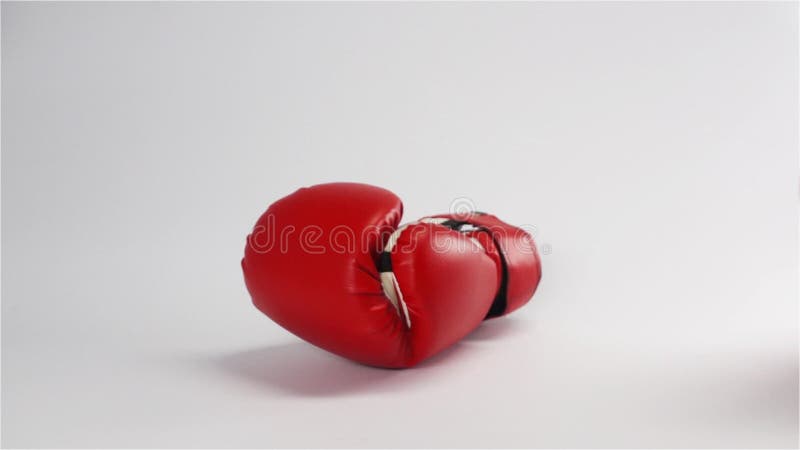 Boxer Falling Down To Boxing Ring Floor after Knockout Punch. Knock Out ...