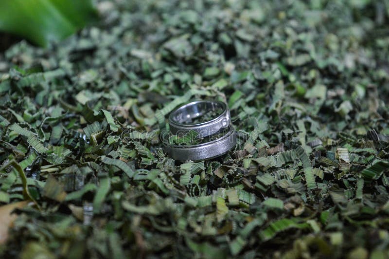 A Pair of Rings on a Cut Leaf on Floor Stock Image - Image of grass ...