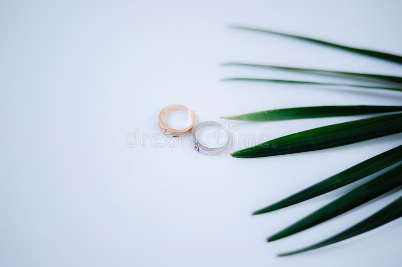 A Pair of Rings for a Wedding Stock Image - Image of simple, design ...