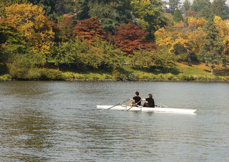 Pair Rowing in Autumn stock photo. Image of team, autumn - 3673926