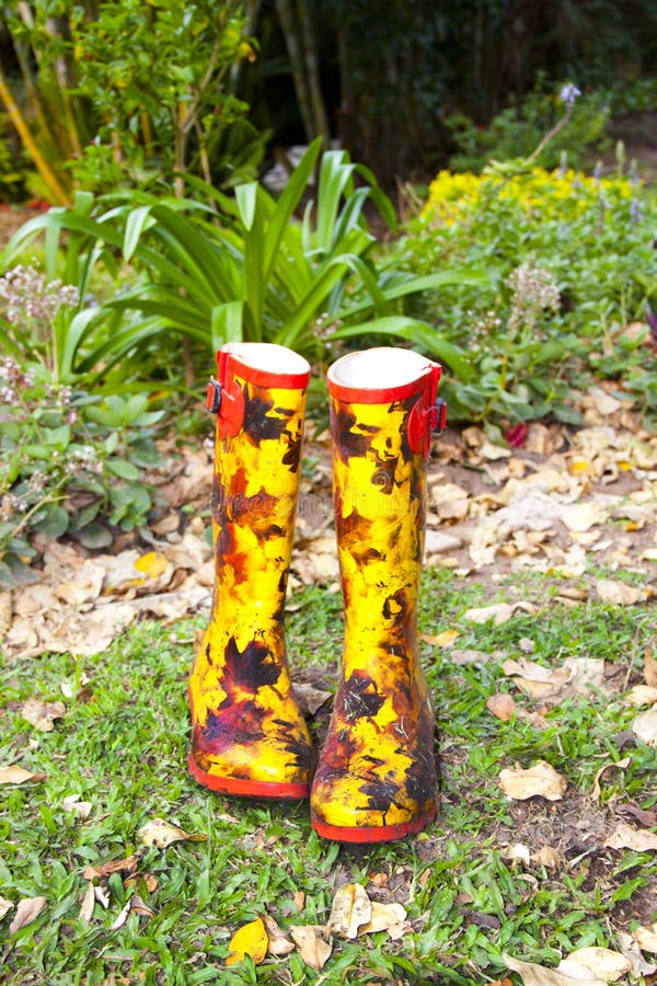 Pair of Rubber Boots stock photo. Image of wellington - 33557434