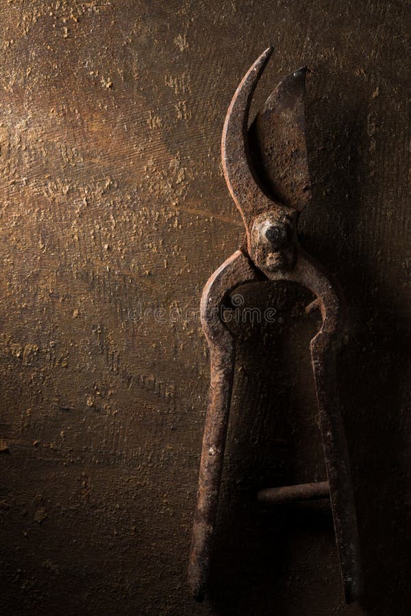 A Pair of Rusty Shears stock image. Image of vertical - 108059641