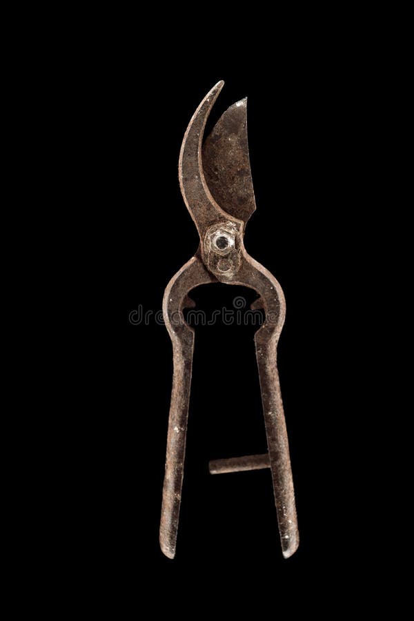 A Pair of Rusty Shears stock photo. Image of rusted - 108059764