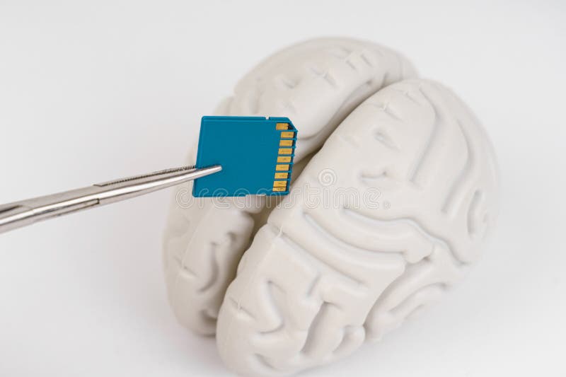 A Pair of Scissors Cutting a Section of a Human Brain Stock Photo ...