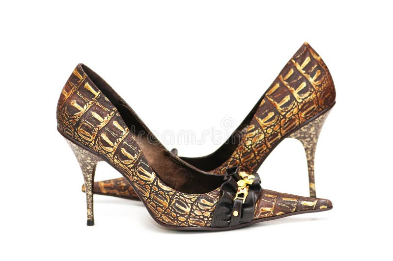 Pair of shiny female shoes stock photo. Image of pair - 2620386
