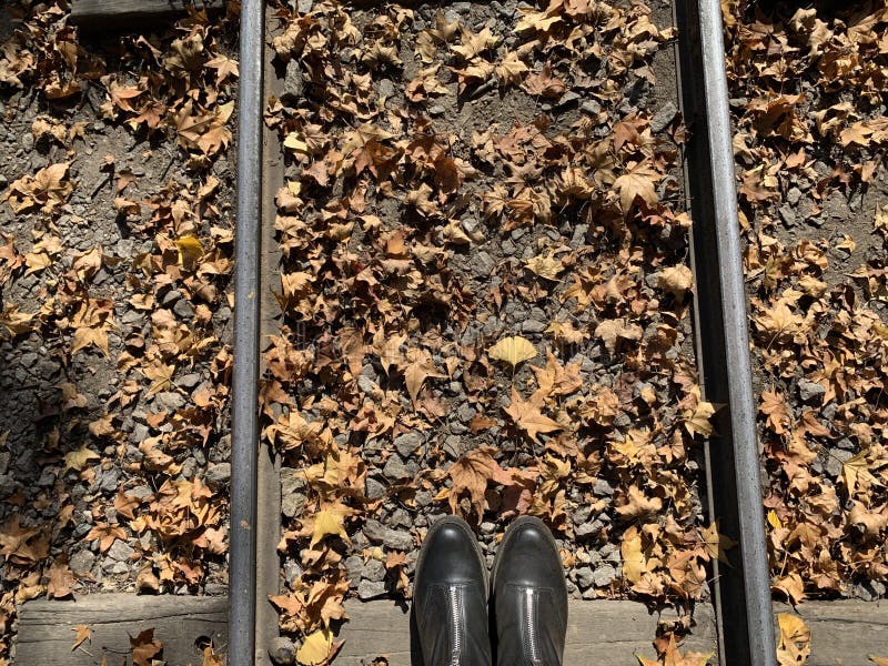 Pair of Shoes and Falling Autumn Leaves Stock Photo - Image of falling ...